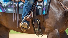 Shop for Weaver Livestock Brand Products at Tractor Supply Co.