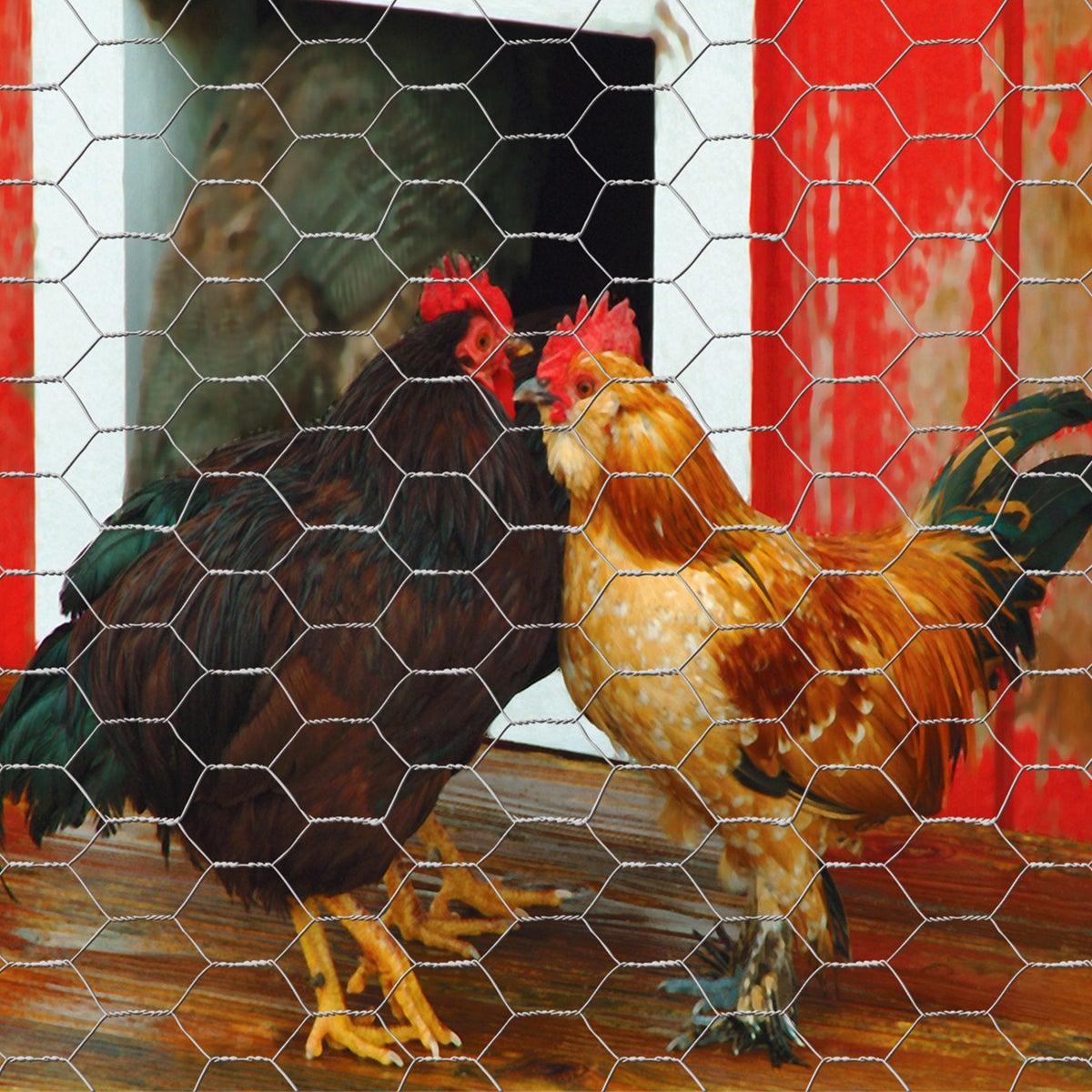 Fencing & Gates at Tractor Supply Co.