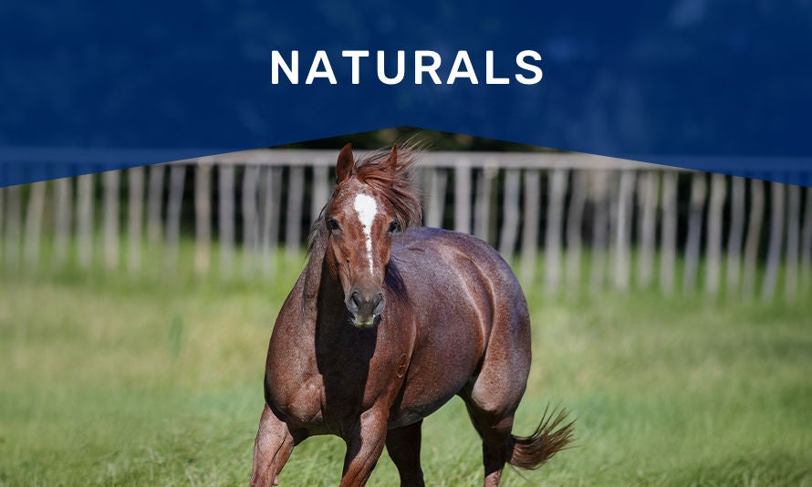 Shop for Triple Crown Horse Feed at Tractor Supply Co.