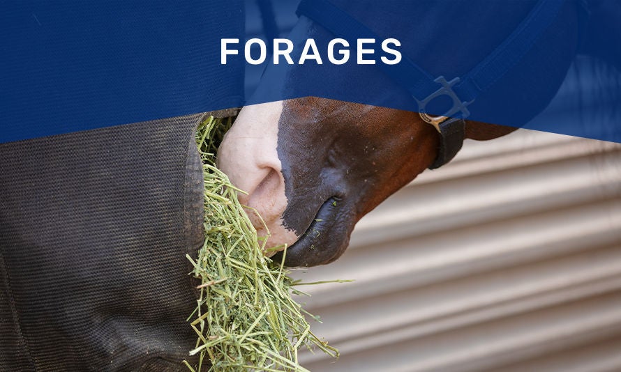 Shop for Triple Crown Brand Products at Tractor Supply Co.