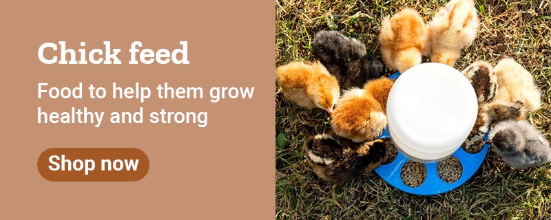 Poultry at Tractor Supply Co.