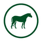 Shop for nutrena at Tractor Supply Co.