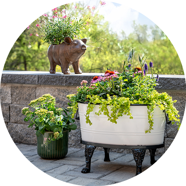 Shop for Red Shed Home Decor at Tractor Supply Co.