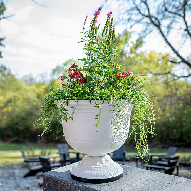 Shop for red shed Pots & Planters at Tractor Supply Co.