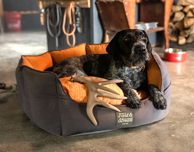 Shop for Field & Stream Wild Birds & Wildlife at Tractor Supply Co.