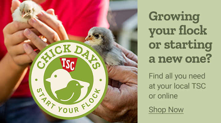 Poultry Feed at Tractor Supply Co.