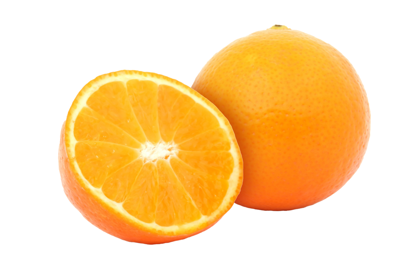 The Ultimate Backyard Bird Feeding Guide - Tractor Supply Co. | Tractor ...