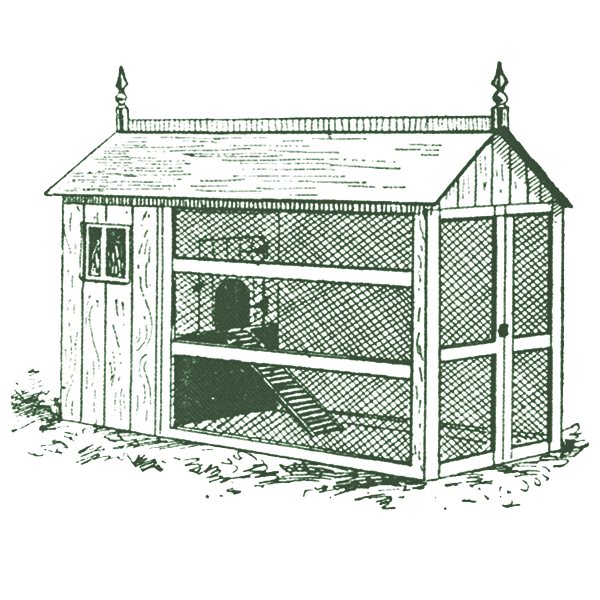 Black Sex Link Chickens A Complete Guide Tractor Supply Co 6094