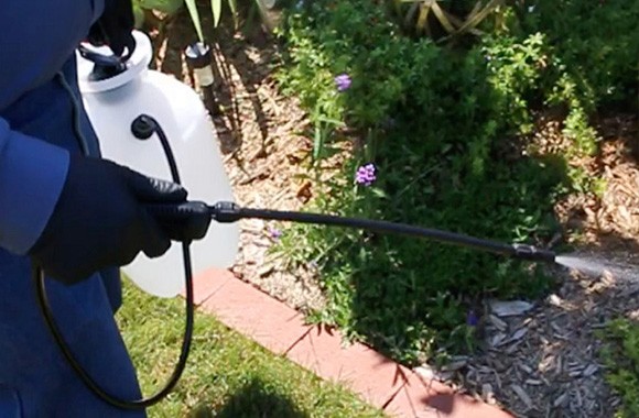 Lawn Weed Control | Tractor Supply Co.